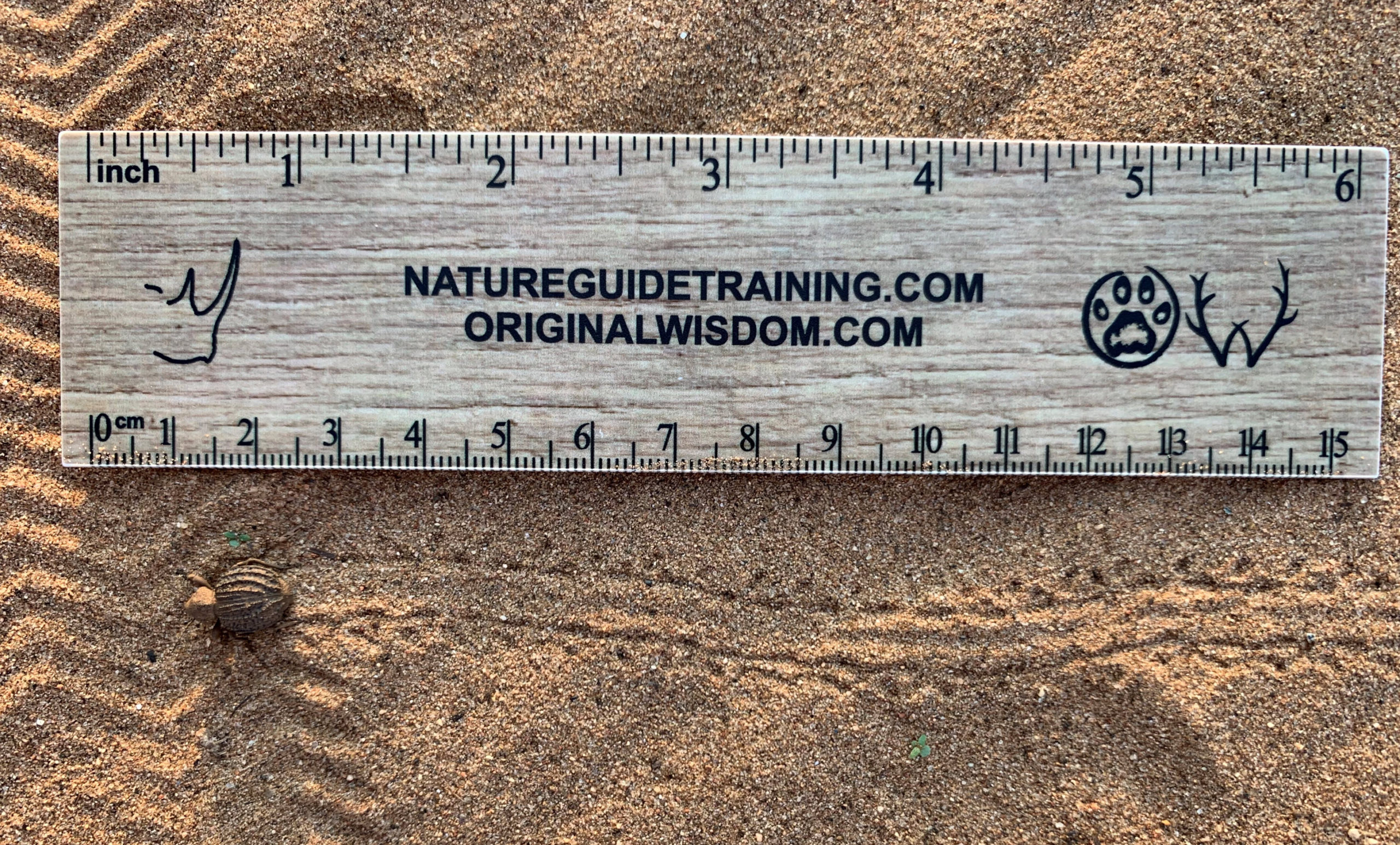 Tracker Tuesdays – Week 2 - Original Wisdom